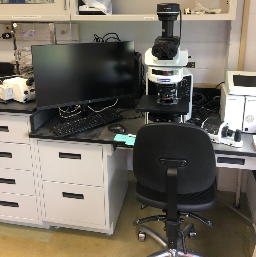 A closer look at the Olympus BX63 microscope | Ocean State Initiative ...